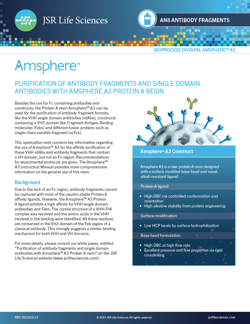 Bioprocess Amsphere A3 - Amsphere Antibody Fragments AN8