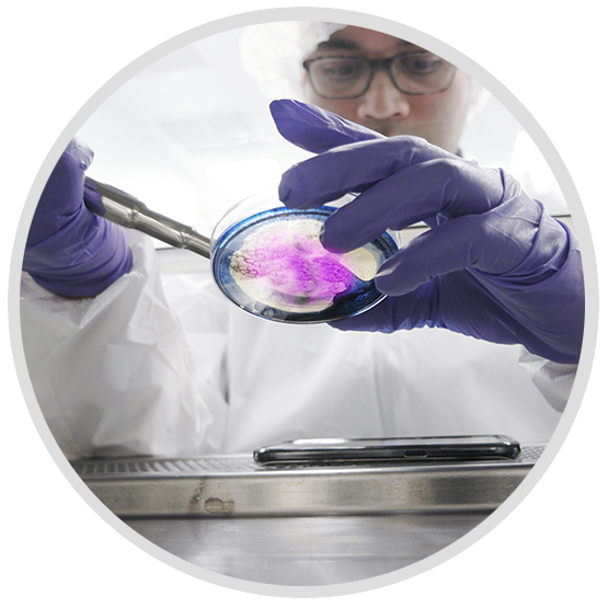 About JSR Life Sciences