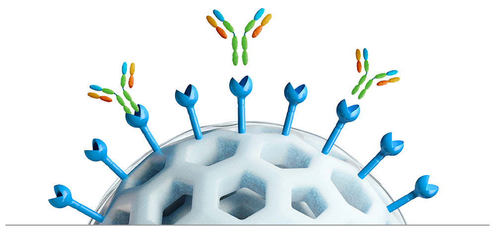Protein A resin for mAbs, fragments & Fc-fusions | Amsphere A+