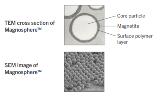 Magnosphere | Magnetic Microparticles for Life Science Applications