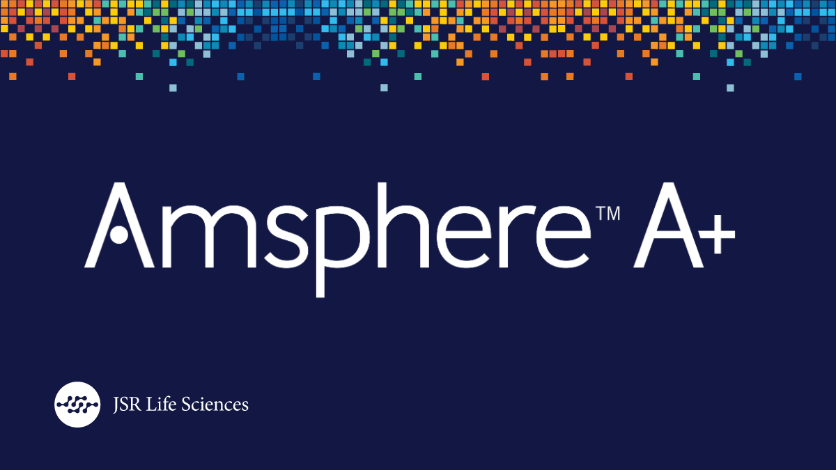 BPI East 2024 | Poster | Amsphere A+